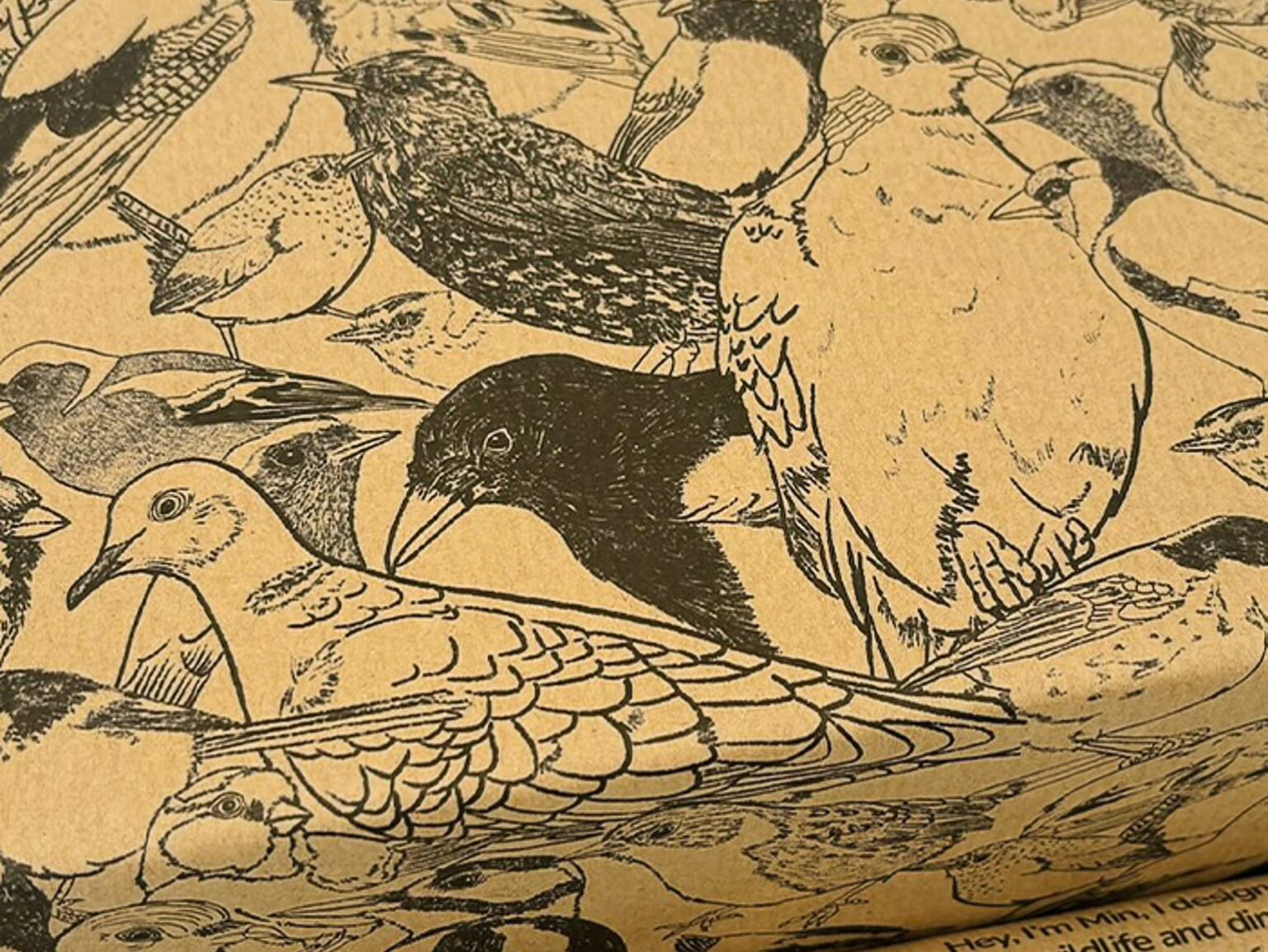 Quiz: Who's that bird? - Curious Kin